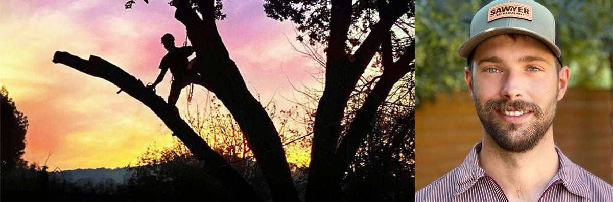 Sawyer Tree Management Offers Tree Services in Sonora, CA 95370